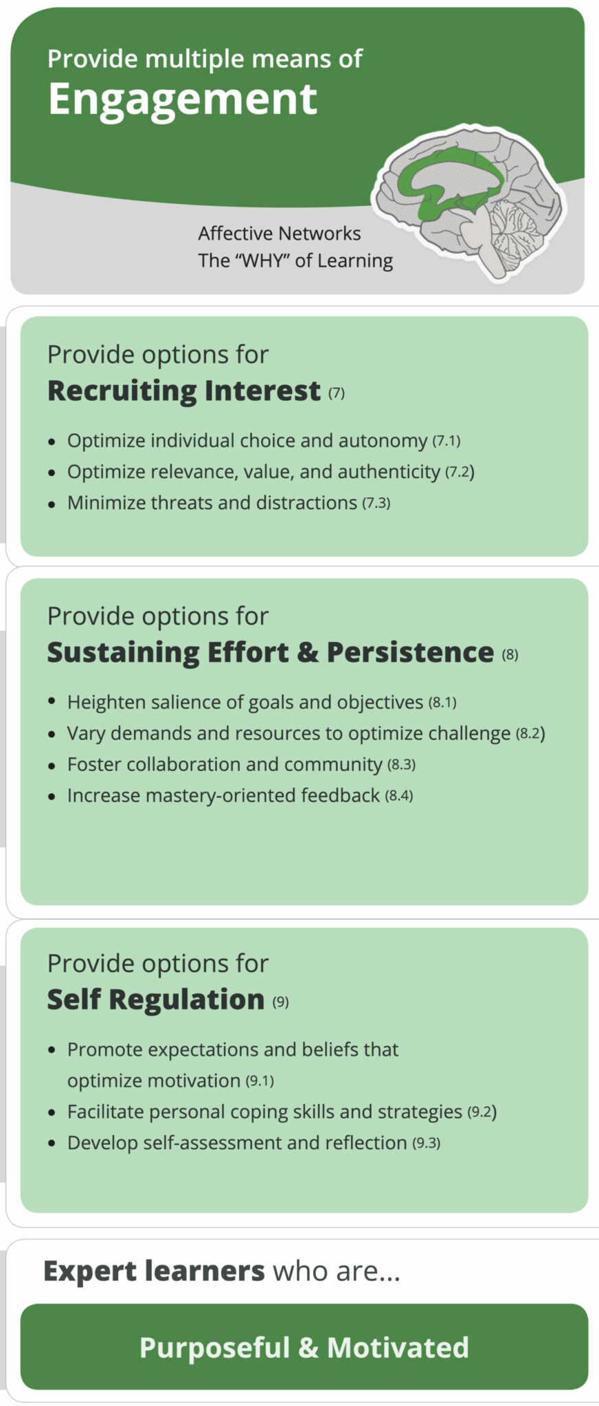 2. How can technology be used to provide multiple means of engagement ...